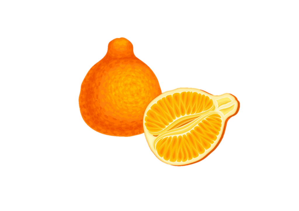 Tângera – CÁVADO… com Sabor.