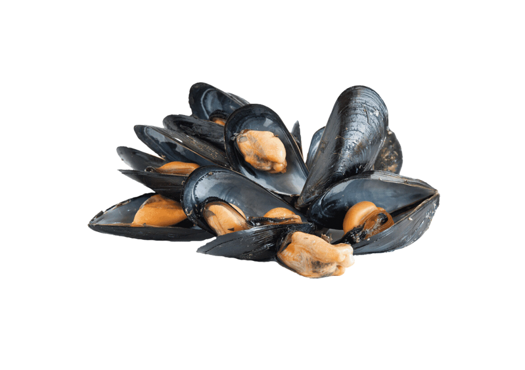 Mexilhão – CÁVADO… com Sabor.